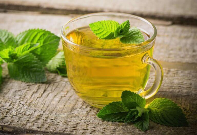 9 bienfaits de la tisane de menthe poivrée (+ comment la préparer ... 9 bienfaits de la tisane de menthe poivrée (+ comment la préparer ...